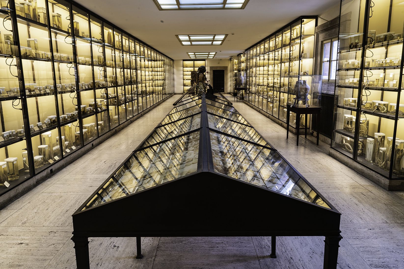 Vanderbilt Museum Hours & Admission | Things To Do Long Island