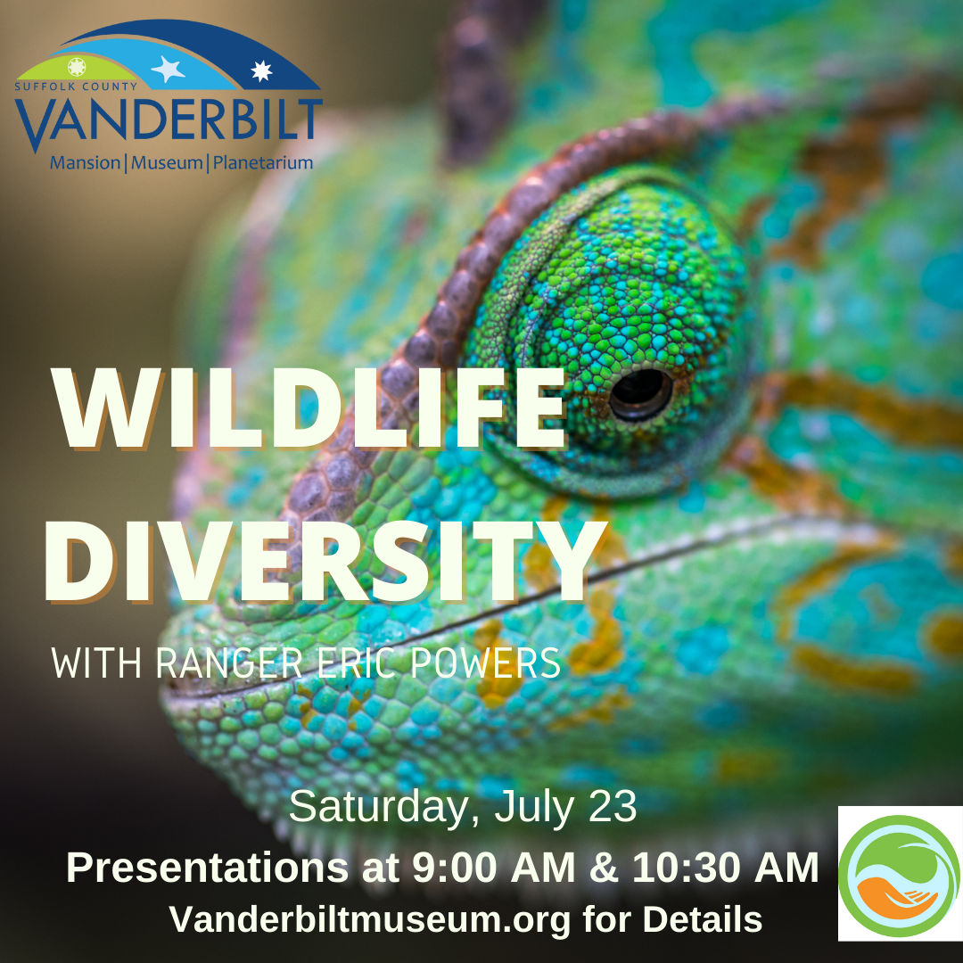 WILDLIFE DIVERSITY NATURE SHOW | Planetarium Shows Long Island
