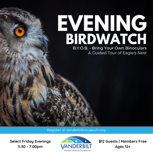 Birdwatch and Architecture Tour | Planetarium Shows Long Island