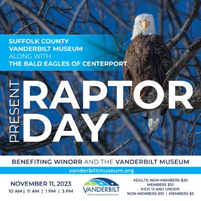 Raptor Day: Meet Live, Rescued Birds Up Close | Planetarium Shows Long ...
