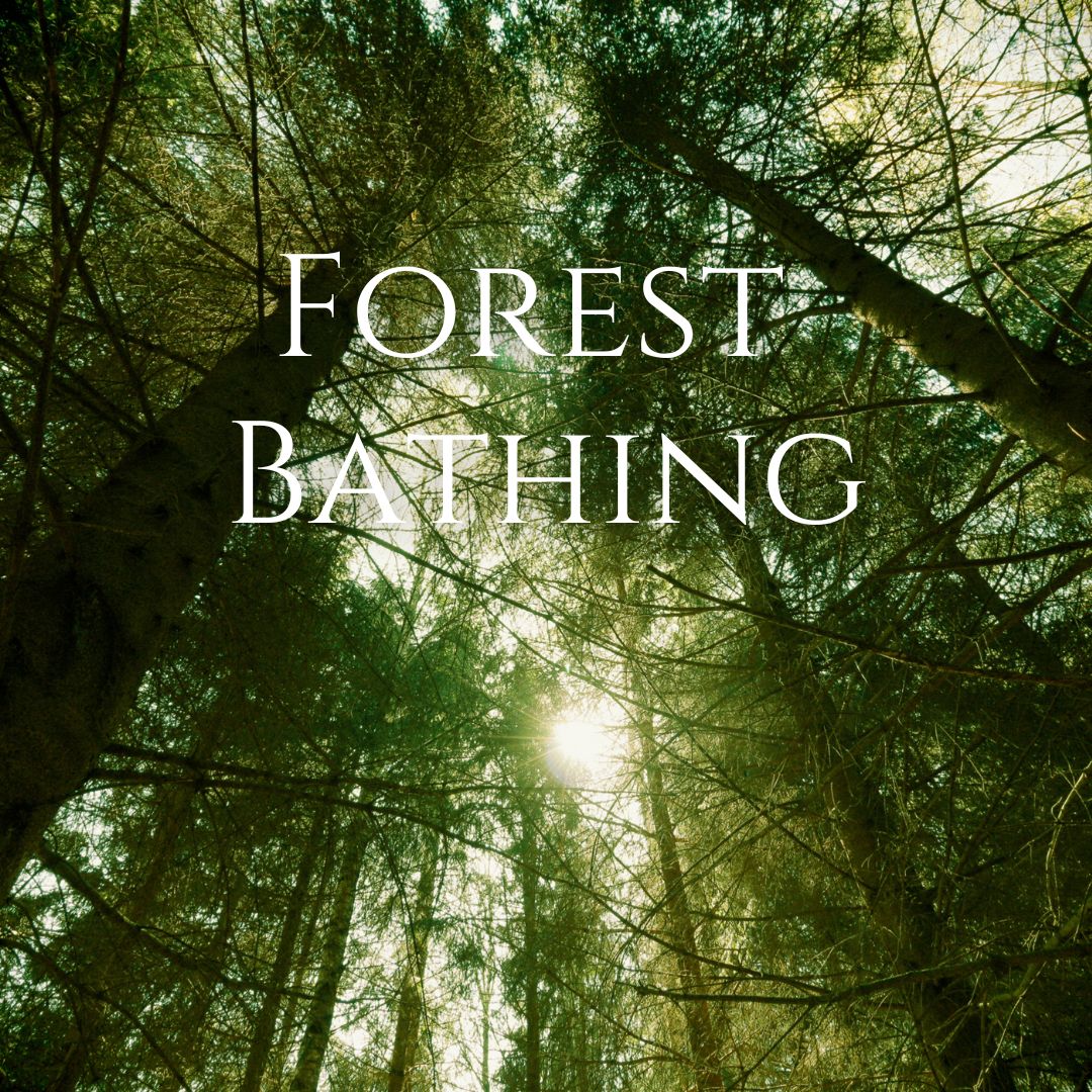 Vanderbilt Museum, Mansion & Planetarium | Things To Do On Long Island