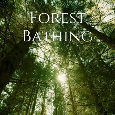 Forest Bathing