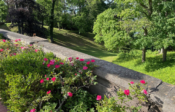 Poetry, Storytime, Total Solar Eclipse Vanderbilt Museum
