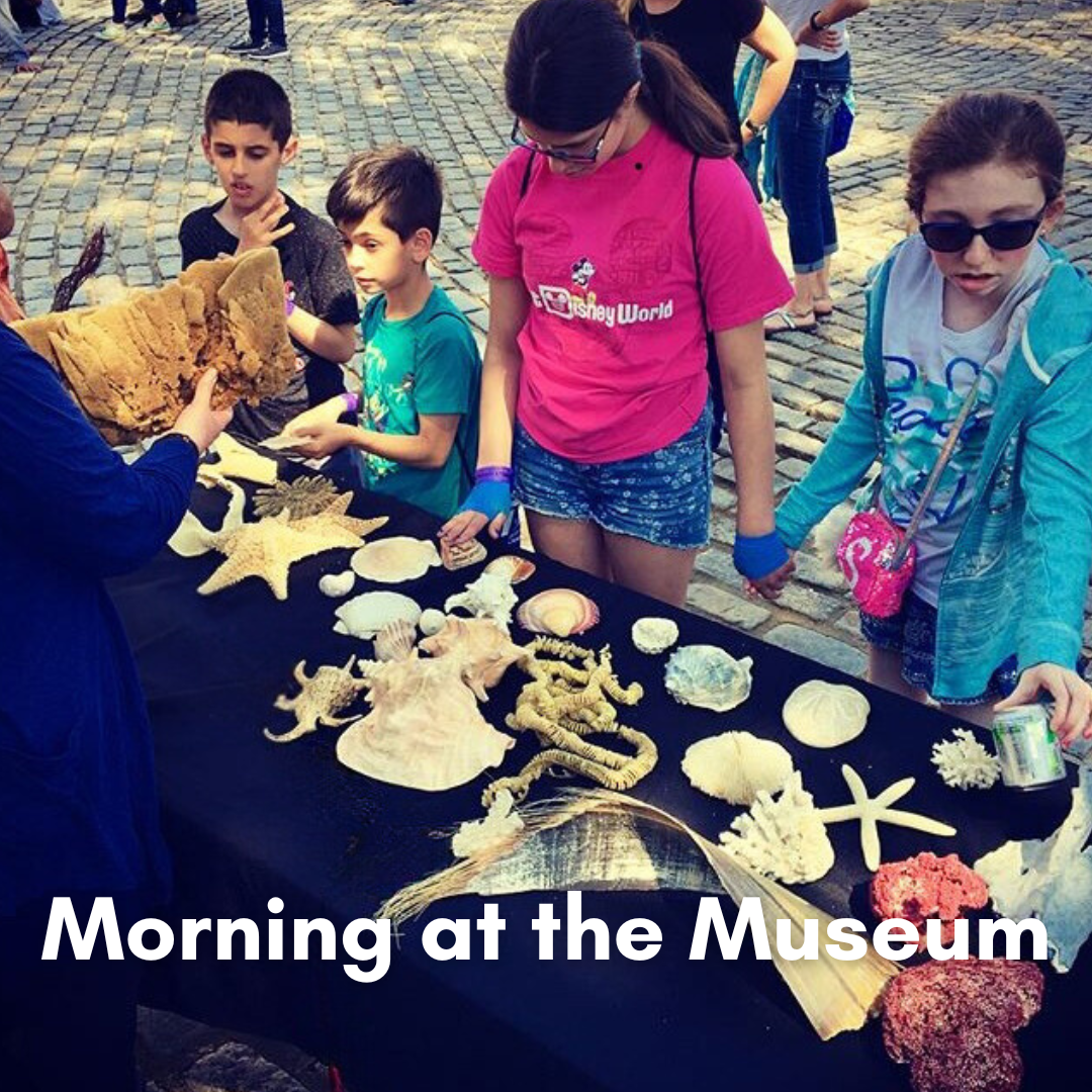 Vanderbilt Museum, Mansion & Planetarium | Things To Do On Long Island