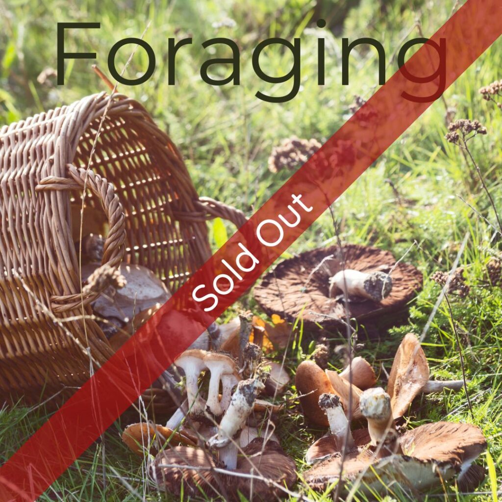 Spring Foraging with the "Wildman" Gesture Drawing with Wendy Klemperer